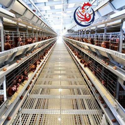 China Hot Dipped Galvanized H Type Layer Cage Stacked Design Poultry Farm Equipment for sale