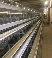 China Galvanized Steel Multi Level A Frame Layer Cage System for Efficient Poultry Farming for sale