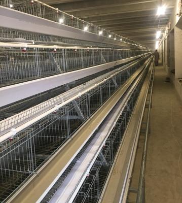 China Galvanized Steel Multi Level A Frame Layer Cage System for Efficient Poultry Farming for sale