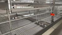 China Full Automation H Type Poultry Layer Battery Cage with Multi Layer Vertical Design for sale