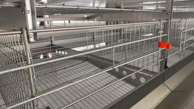 China Full Automation H Type Poultry Layer Battery Cage with Multi Layer Vertical Design for sale