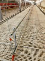 China Fully Automated Chicken Hen Nesting Box Floor Raising With Low Egg Breakage Rate for sale