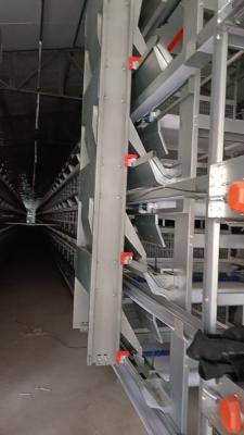 China Stacked H Type Layer Cage Galvanized Constructed Automatic Layer Poultry Farm Cage for sale
