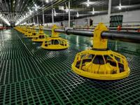 China Computerized Auto Automatic Pan Feeding System Offering Adjustable Feeding System Length Optimized for Continuous Operation for sale