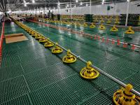 China Computerized Auto Automatic Pan Feeding System Offering Adjustable Feeding System Length Optimized for Continuous Operation for sale
