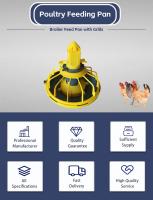 China Durable Poultry Feeding and Drinking System Engineered to Provide Nutrition and Hydration Solutions for Commercial Poultry Farms for sale