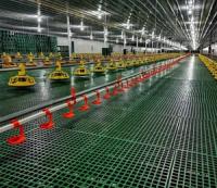 China Advanced Poultry Feeding And Drinking System Offering Performance And Easy Integration Into Existing Poultry Farm Infrastructure for sale