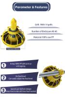 China Advanced Poultry Feeding And Drinking System Offering Performance And Easy Integration Into Existing Poultry Farm Infrastructure for sale