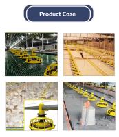 China Advanced Poultry Feeding And Drinking System Offering Performance And Easy Integration Into Existing Poultry Farm Infrastructure for sale