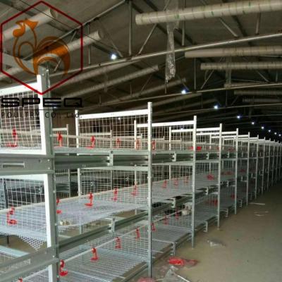 China Low Cost High Quality Automatic H Type Hot Dipped Galvanized Broiler Cage for Poultry Farming for sale