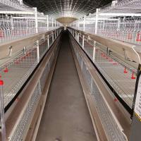 China Low Cost High Quality Automatic H Type Hot Dipped Galvanized Broiler Cage for Poultry Farming for sale