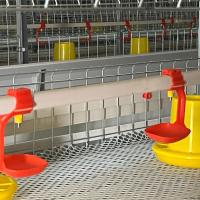 China Low Cost High Quality Automatic H Type Hot Dipped Galvanized Broiler Cage for Poultry Farming for sale