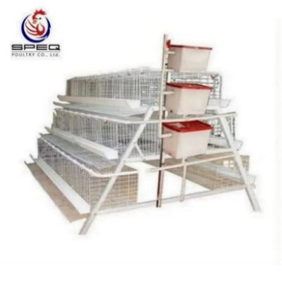 China Advanced Automatic Chicken Layer Cages for Poultry House for sale