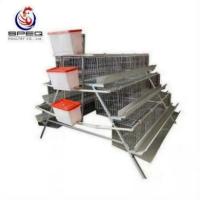 China Advanced Automatic Chicken Layer Cages for Poultry House for sale