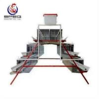 China Advanced Automatic Chicken Layer Cages for Poultry House for sale