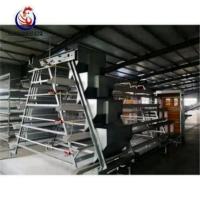 China Advanced Automatic Chicken Layer Cages for Poultry House for sale