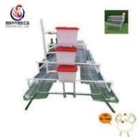 China Advanced Automatic Chicken Layer Cages for Poultry House for sale