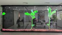 China Indoor Full Color  Flexible Transparent LED Film Screen Indoor P6 Transparent Film LED Display Screen for sale