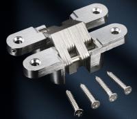 China Stainless Steel Heavy Duty Invisible Hinge 180 Degree for Wooden Door for sale