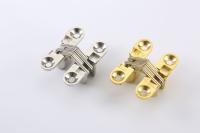 China 180 Degree Heavy Duty Invisible Hinge Stainless Steel Satin Nickel 13x45mm to 28x118mm for sale