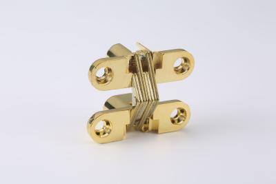China OEM Lightweight Stainless Steel 180 Degree Invisible Door Hinges Hidden Hinge for sale