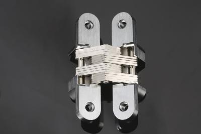 China Zinc Alloy 180 Degree Mortise Mount Invisible Hinge Durable Concealed Door Hinge for sale