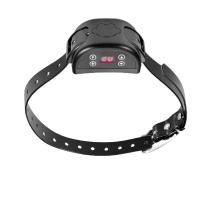 China GPS Wireless Pet Fence 800m Radius Rechargeable Waterproof Dog Receiver Collar for sale