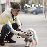 China Static Shock Dog Bark Control Collar No Bark Training Collar With 7 Levels Sensitivity for sale