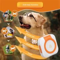 China 4G GPS Pet Tracker Real Time Anti Lost Electronic Fence for Dogs Cats 12g Lightweight for sale