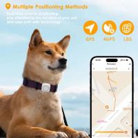 China 4G GPS Pet Tracker Waterproof IP67 Real Time Dog Cat Locator Anti Lost Tracking Collar for sale
