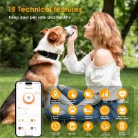 China 4G GPS Pet Tracker Waterproof IP67 Real Time Dog Cat Locator Anti Lost Tracking Collar for sale