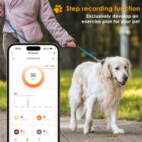 China 4G GPS Pet Tracker Waterproof IP67 Real Time Dog Cat Locator Anti Lost Tracking Collar for sale