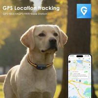 China 4G GPS Dog Tracking Collar IP67 Waterproof Real Time Anti Lost Pet Locator Cat Tracker 5000mAh for sale