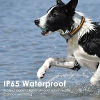 China 4G GPS Dog Tracking Collar IP67 Waterproof Real Time Anti Lost Pet Locator Cat Tracker 5000mAh for sale
