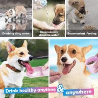 China Outdoor Pet Water Bottle Dispenser with Activated Carbon Filter 500ml Portable Dog Drinking Bottle for sale