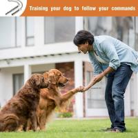 China Adjustable Frequency Ultrasonic Dog Training Whistle For Agility Training for sale