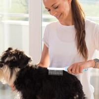 China Stainless Steel Pet Grooming Comb with Long and Short Teeth for Dogs Cats Hair Remover 2-in-1 for sale
