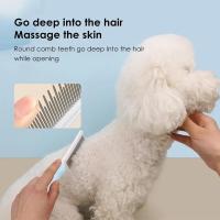 China Stainless Steel Pet Grooming Comb with Long and Short Teeth for Dogs Cats Hair Remover 2-in-1 for sale