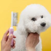 China Dog Cat Pet Grooming Comb With Long & Short Stainless Steel Teeth for sale