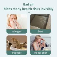 China Portable Travel Air Purifier for Pets 5W USB Rechargeable Odor Eliminator for Car Kitchen for sale