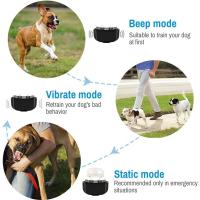 China Rainproof 300m Remote Pet Trainer Shock And Vibration Dog Collar With LCD Display for sale