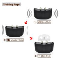 China Rainproof 300m Remote Pet Trainer Shock And Vibration Dog Collar With LCD Display for sale