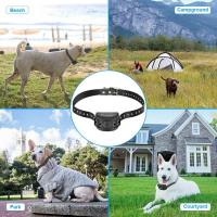 China Waterproof Rechargeable GPS Pet Fence Wireless 800m Radius Adjustable Shock for sale