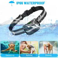China Smart Pet Dog Training System GPS Electronic Rechargeable Dog Training Collar for sale