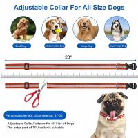 China GPS Wireless Pet Fence 1000m Radius Static Shock Dog Containment System for Large Dogs 20lbs+ for sale
