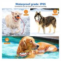 China GPS Wireless Pet Fence 1000m Radius Static Shock Dog Containment System for Large Dogs 20lbs+ for sale