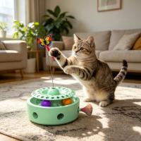 China Smart Automatic Pet Teaser Ball Three In One Feather Interactive Cat Toy for sale