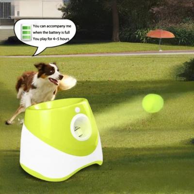 China Pet Dog Chase Toy Pinball Machine Automatic Tennis Ball Thrower for sale