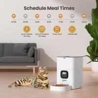 China Smart Pet Feeder 4L with 6 Buttons Dual Meal Setup Precise Portion Control Voice Message Feature for sale