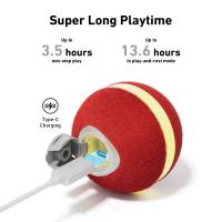 China Smart Induction Pet Chasing Toy Silicone Interactive Indoor Home Cat Play Toys for sale